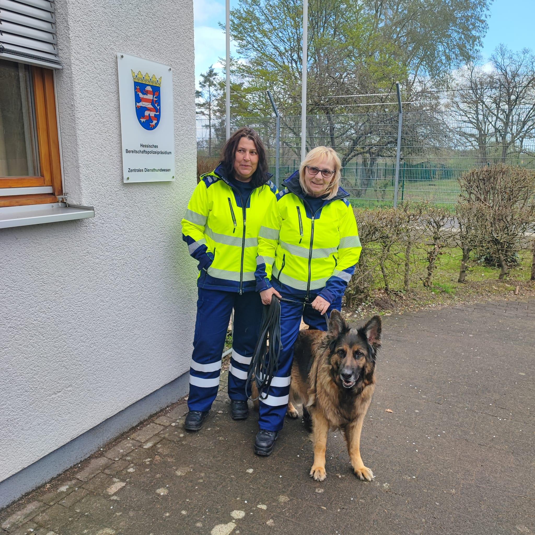 1. Mantrailer für unsere Staffel - Suchhundestaffel Kassel e. V ...